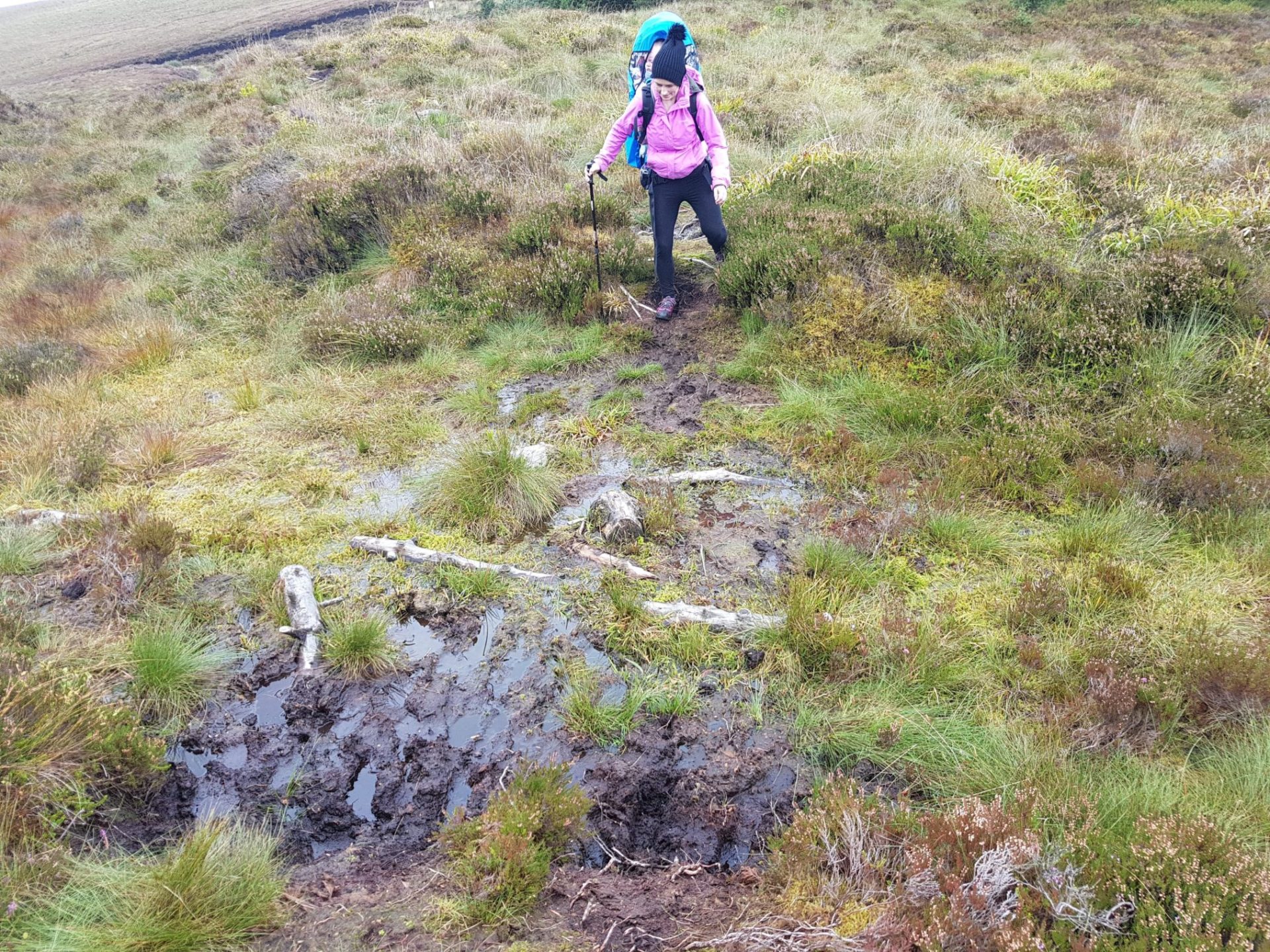 Arderin Offaly and Laois highest point — Our Family Hikes