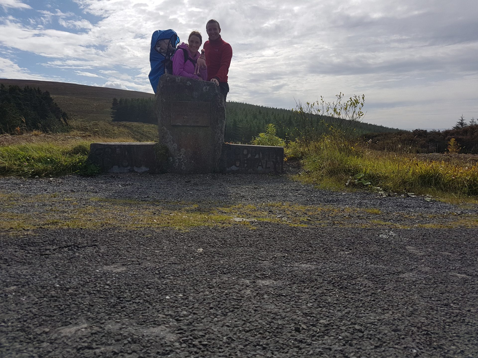 Arderin Offaly and Laois highest point — Our Family Hikes
