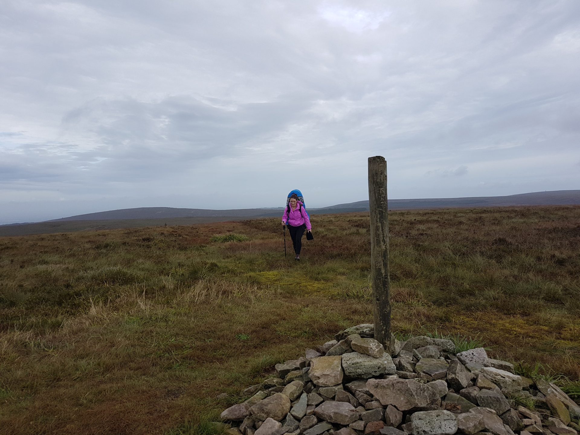 Arderin Offaly and Laois highest point — Our Family Hikes