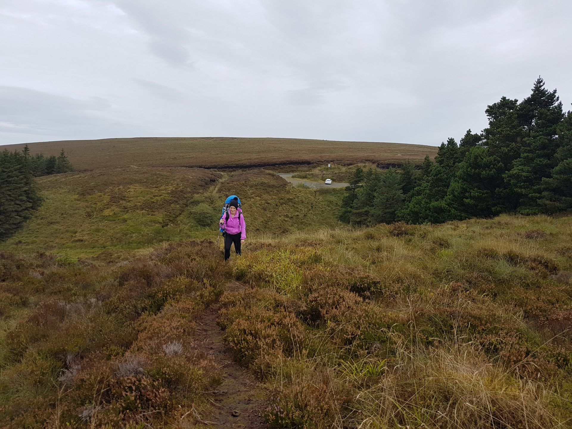 Arderin Offaly and Laois highest point — Our Family Hikes