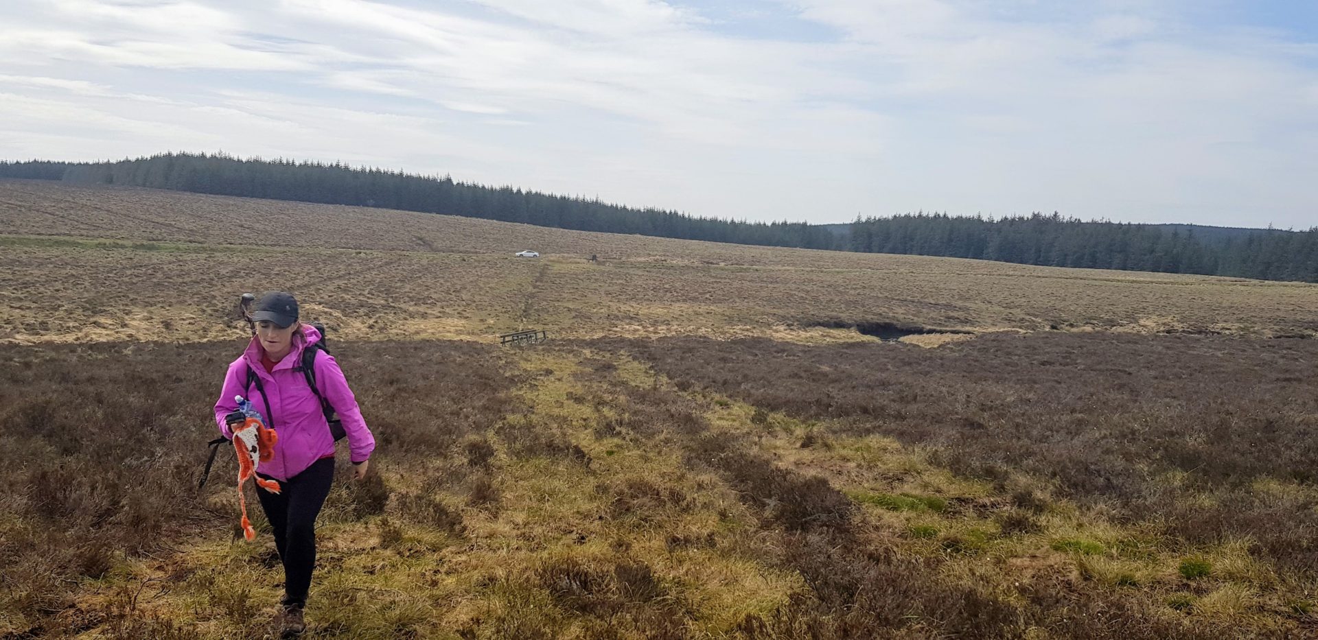 Trostan-- County Antrim Highest Point — Our Family Hikes