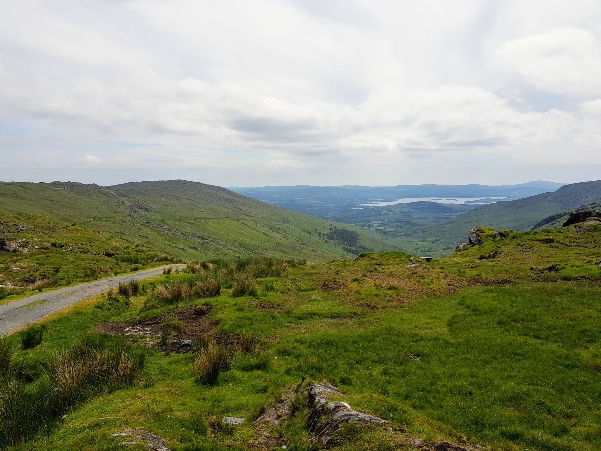 Knockboy- County Cork highest point — Climbing Knockboy