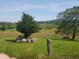 Saint Kevins Way Wicklow Pilgrim Path — St Kevins hike Wicklow