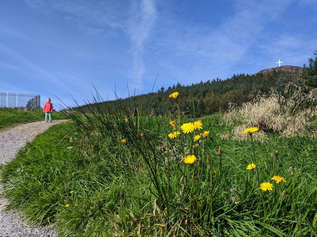 The Devils Bit Walk Templemore Tipperary — Our Family Hikes