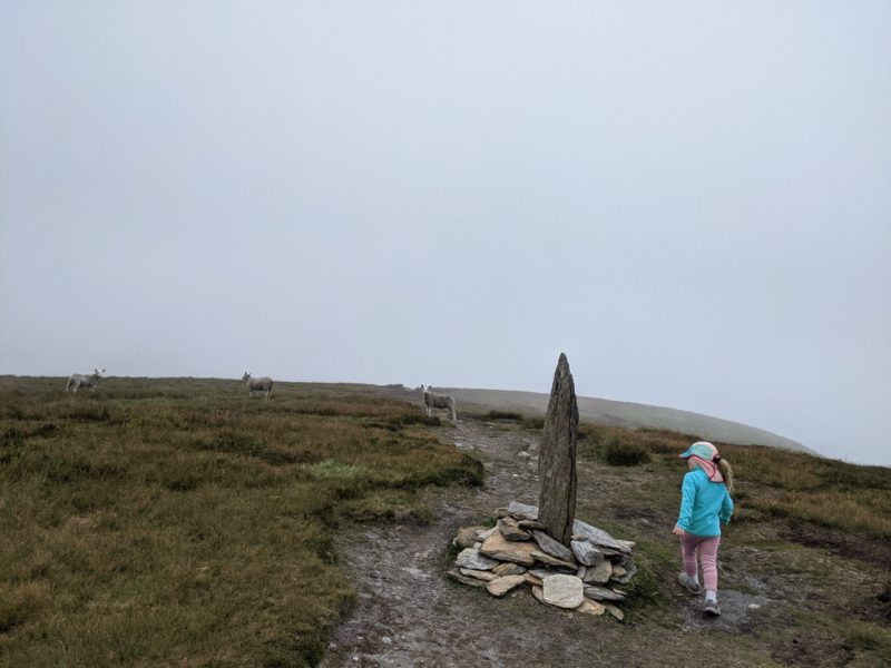 Tonelagee Wicklow-Love heart Lake-lough Ouler walk — from turlough hill