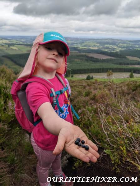 Seefin Hike Wicklow- Seefin Passage Tomb — Our Family Hikes